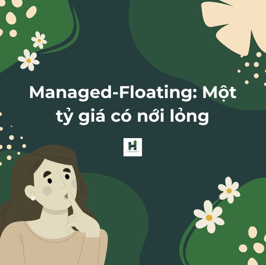 Managed-Floating: Một tỷ giá có nới lỏng – Hedge Academy